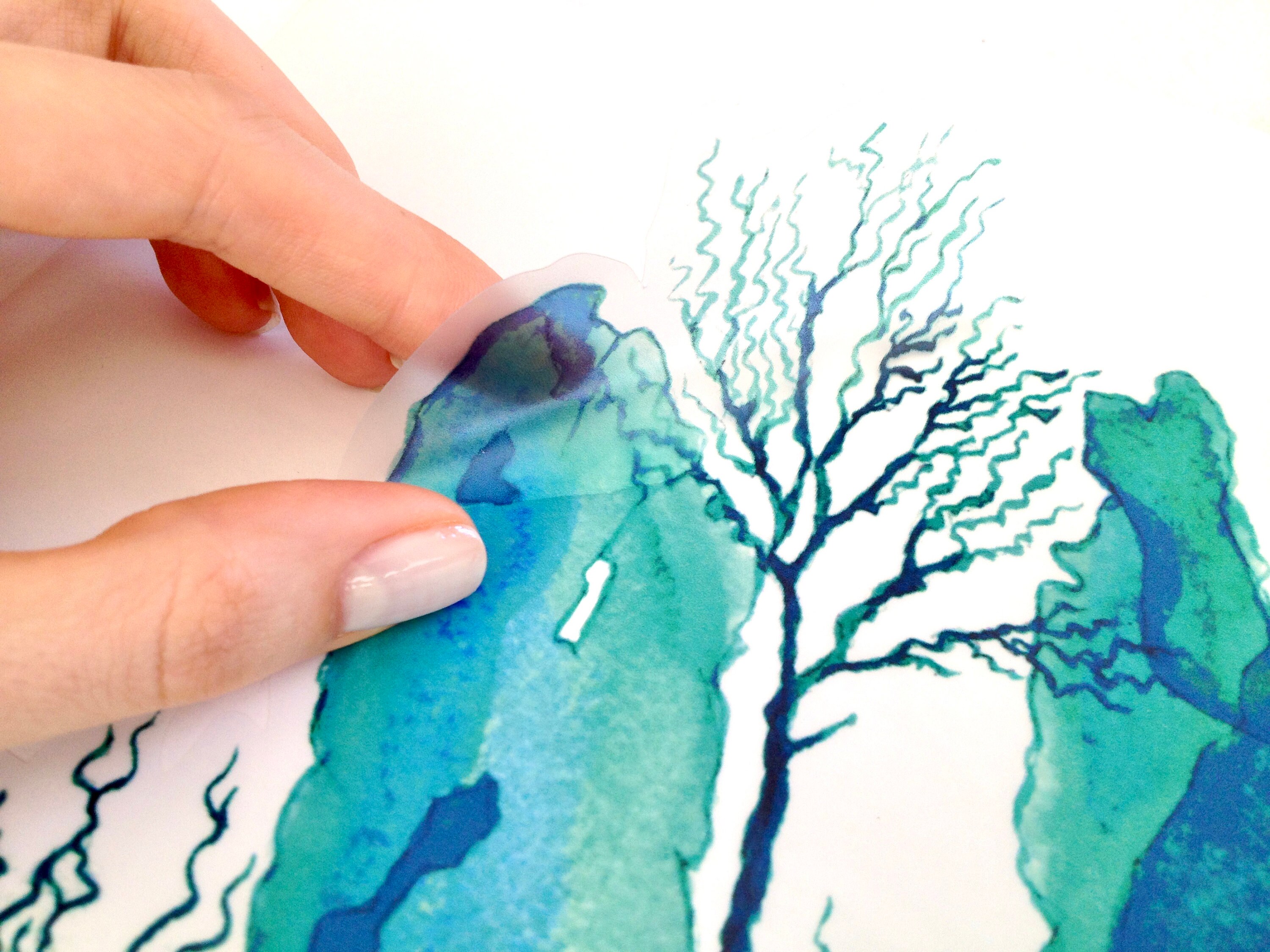 Wall Decal Turquoise Algae Bathoom Decor Decals for Tiles - Etsy