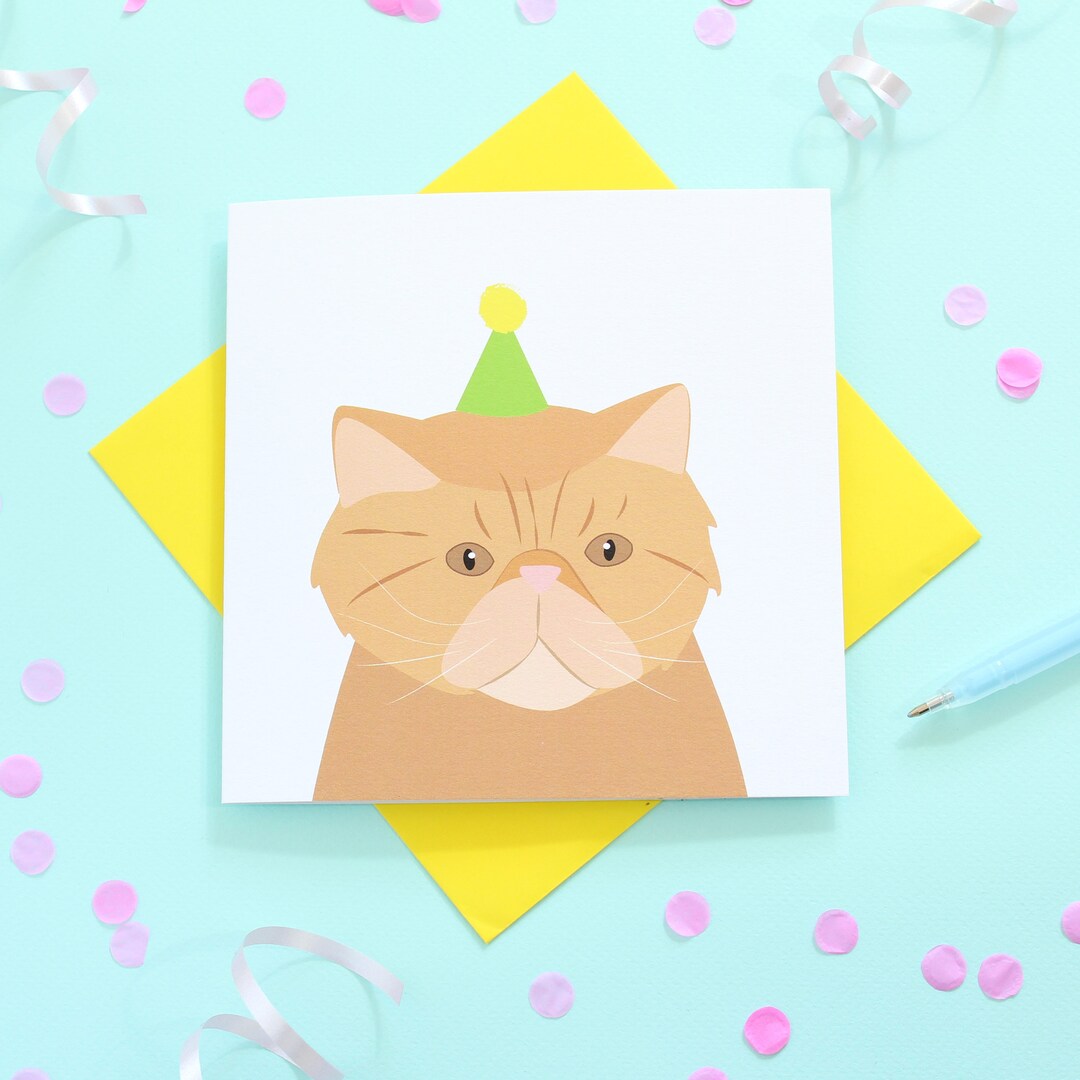 Persian Cat Birthday Card - Etsy
