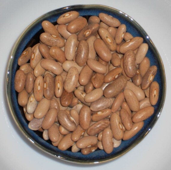 Organic Royalty Purple Pod Bush Bean Seed Greenpod Beans Seeds 0.50oz ...