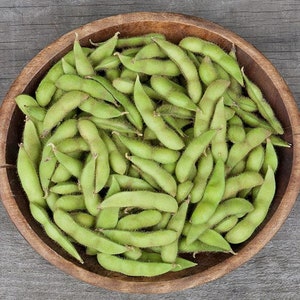 Midori Giant Edamame Soybean Seed Heirloom Gourmet Garden Seeds 0.25oz ...