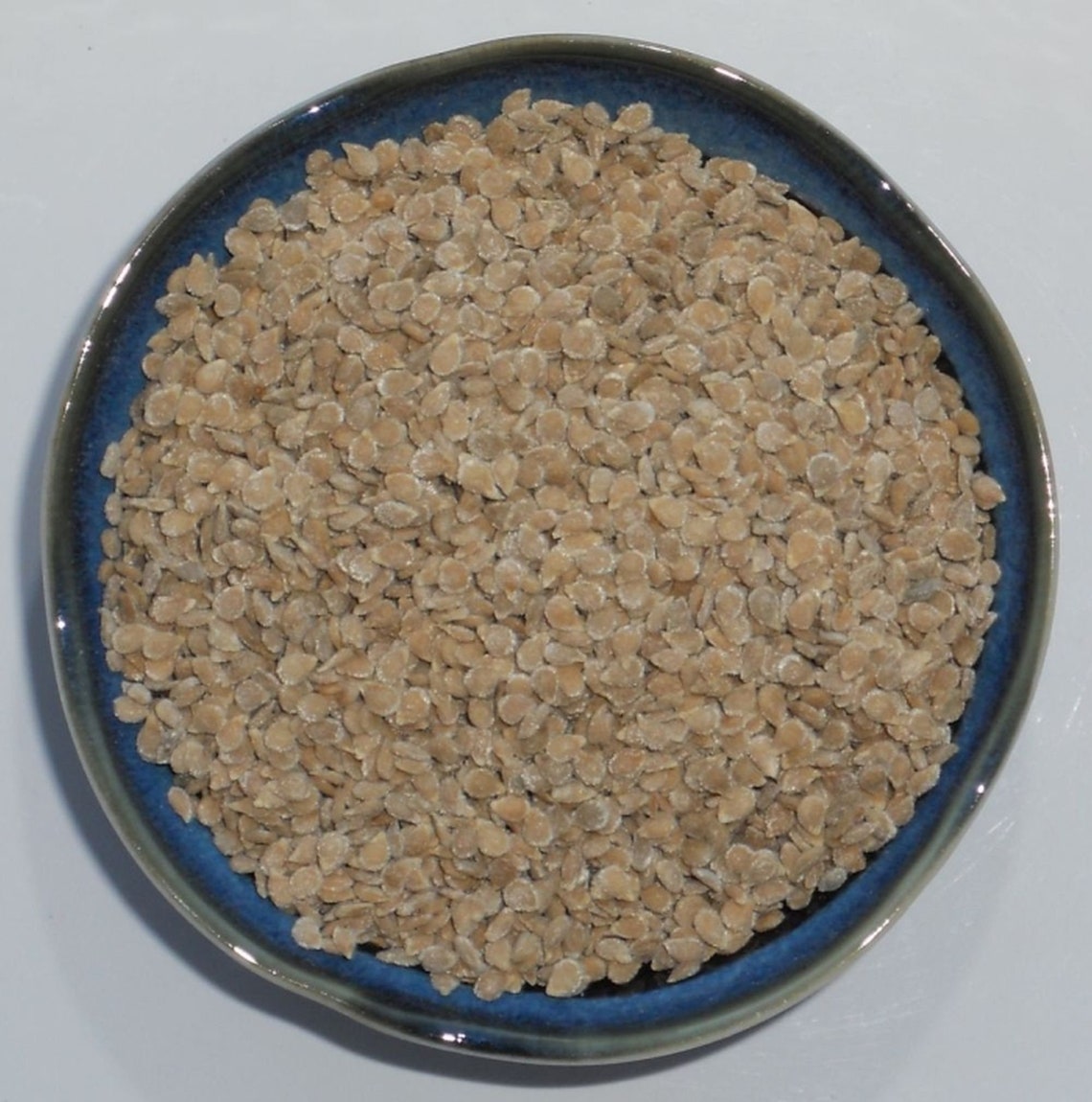 Atkinson Tomato Seed Tomatoes Garden Seeds Loves Humid - Etsy