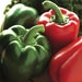 Keystone Resistant Sweet Pepper Seed Giant Bell Peppers - Etsy