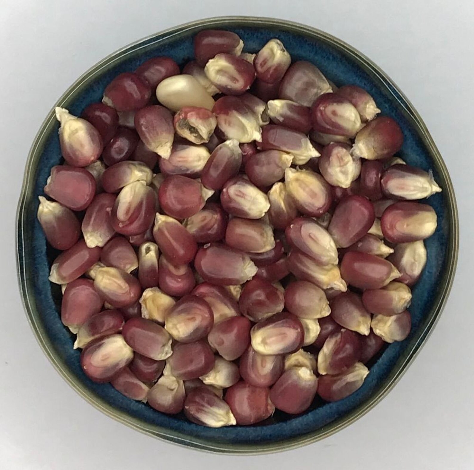 Posole Rojo Red Corn Seed - Heirloom Flint Maize Garden Crop Seeds (0 ...