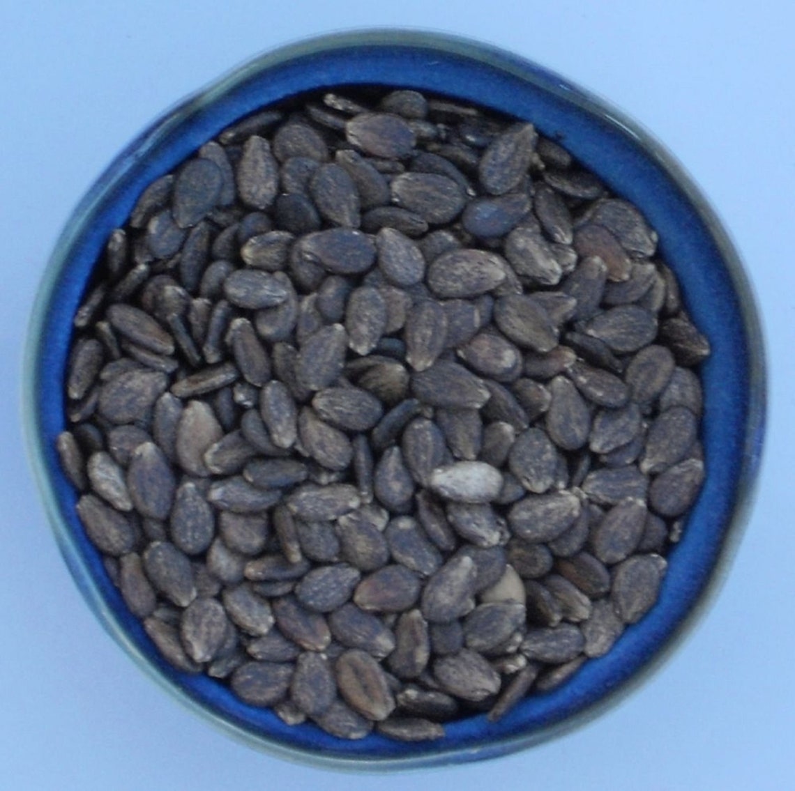 AU Producer Watermelon Seed Red Flesh Heirloom Garden Seeds | Etsy