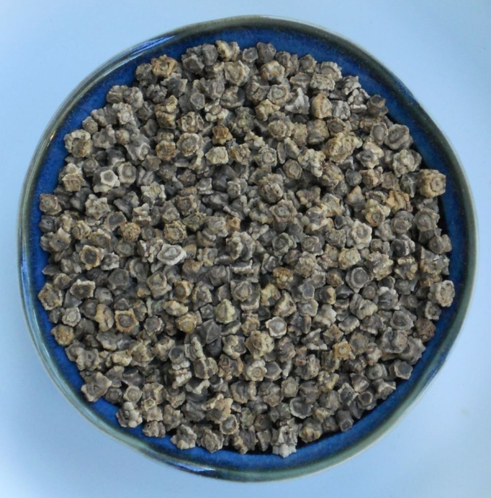 Golden Detroit Beets Seed Heirloom Beet Root Vegetable Seeds - Etsy