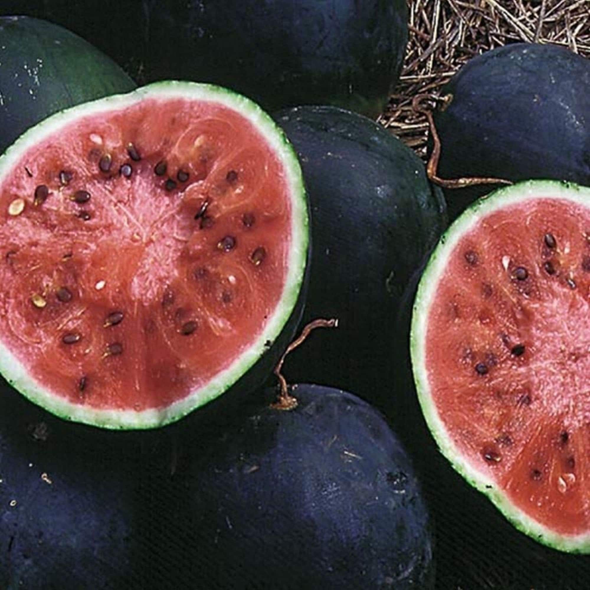 Heirloom Watermelon Varieties From Louisiana