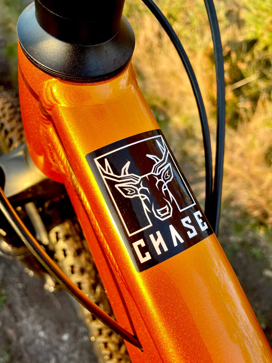 Chase Mountain Biking X Trash Free Trails Sticker Pack - Etsy