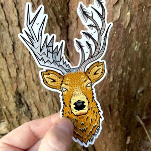Chase Mountain Biking X Trash Free Trails Sticker Pack - Etsy
