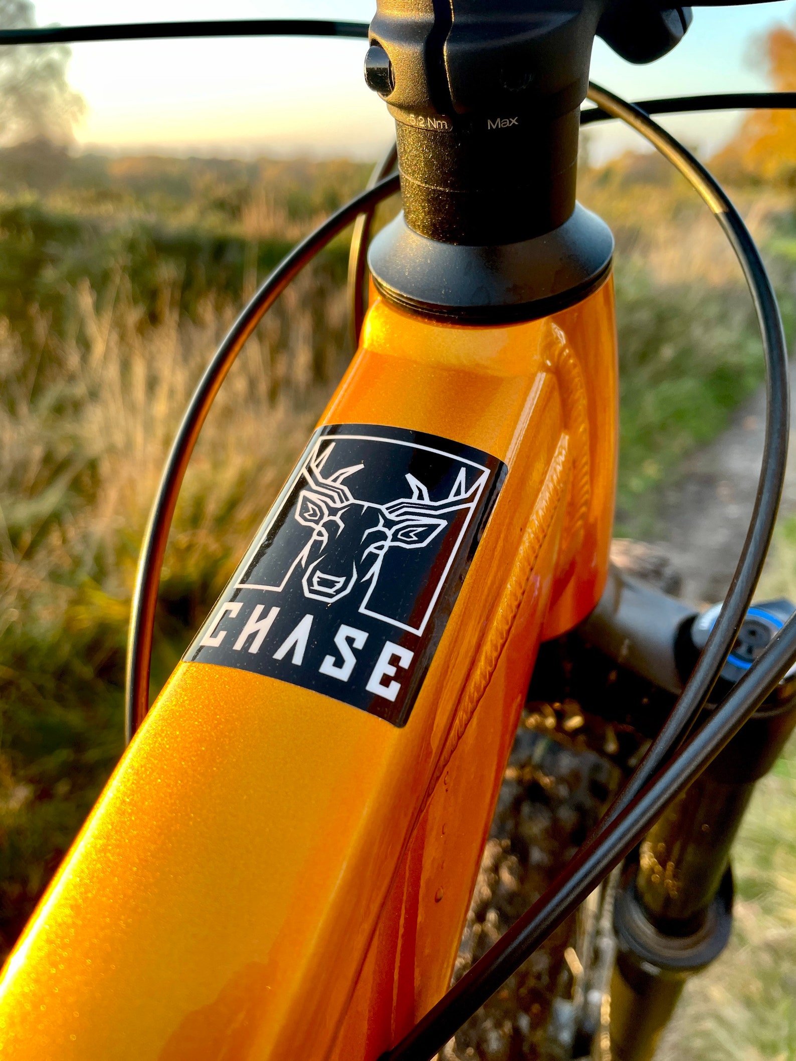 Chase Mountain Biking X Trash Free Trails Sticker Pack - Etsy