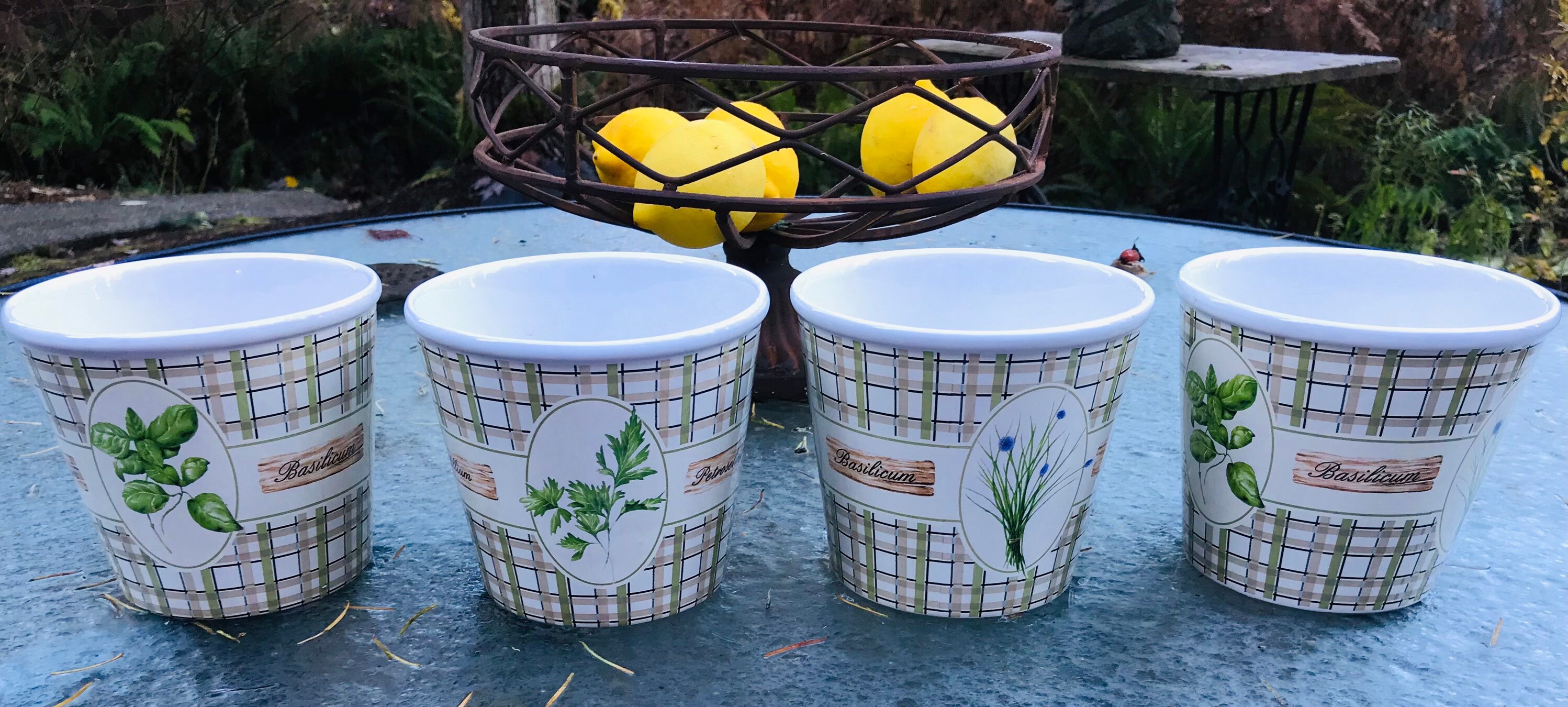 3 Vintage Scheurich Herb Pots, From Germany. - Etsy