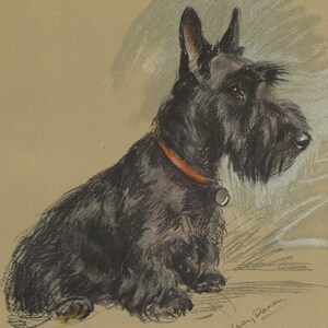 Lucy Dawson Vintage Dog Print 1937 - Etsy