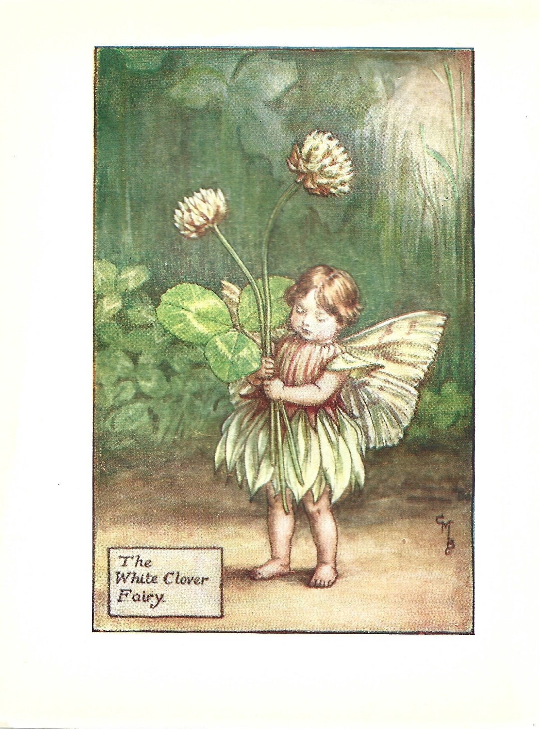 Flower Fairy of the Summer - the White Clover Fairy - Etsy