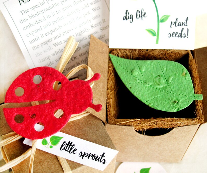 2 Seed Paper Ladybugs Flower Seed Box Gardening Kit With - Etsy