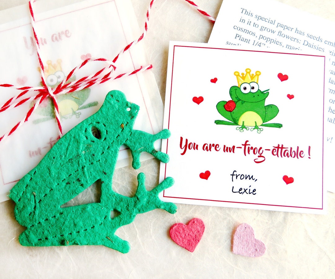 12 Plantable Frog Valentines With Flower Seeds - Kids School Valentines ...
