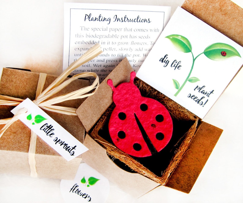 2 Seed Paper Ladybugs Flower Seed Box Gardening Kit With - Etsy