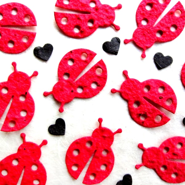 Lady Bug Decor - Etsy