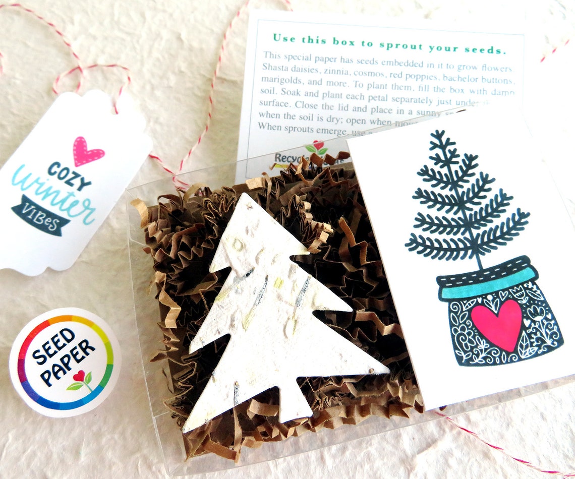 Seed Paper Christmas Gift Box Tree - Etsy