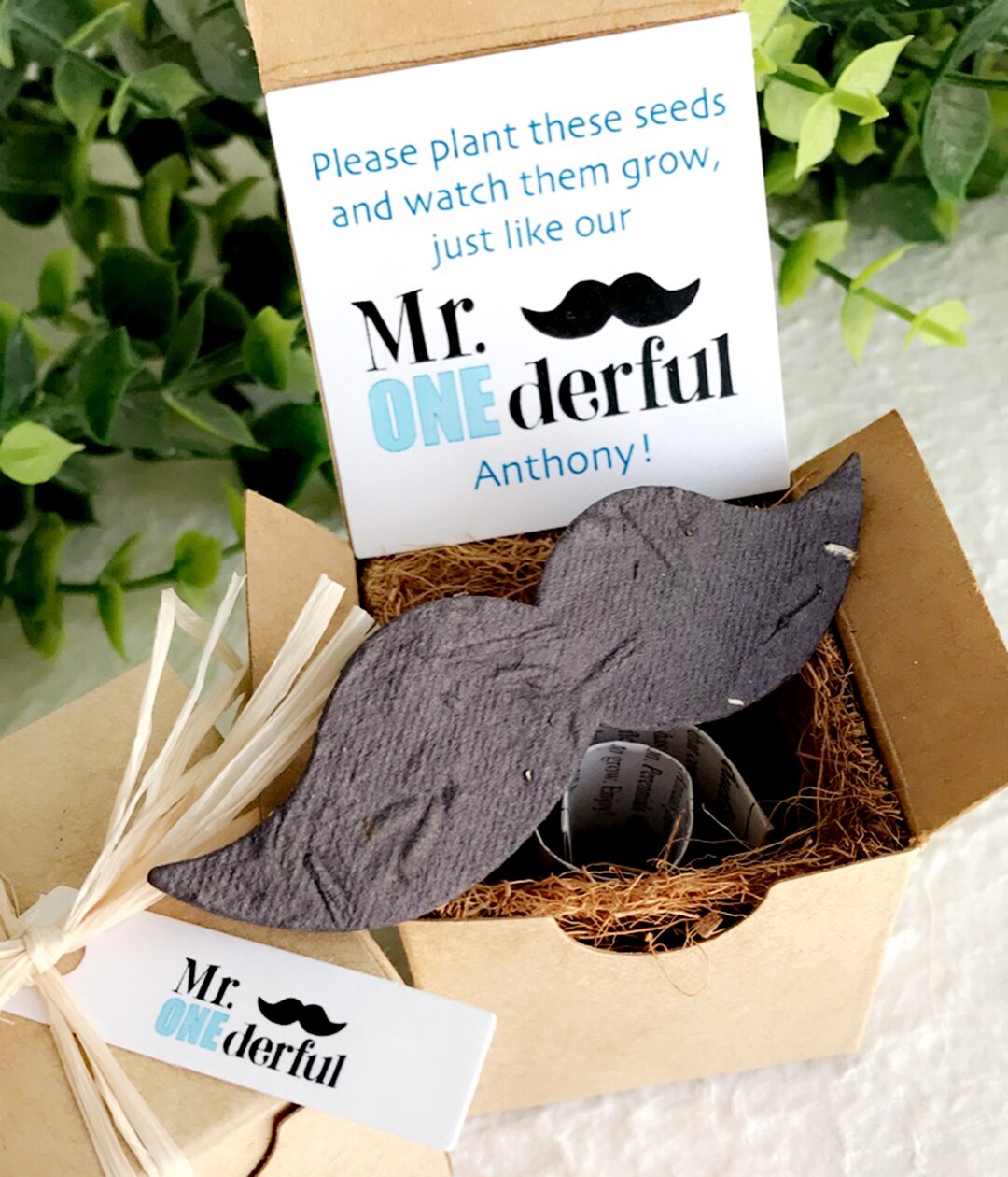 12 Mr. Onederful Plantable Mustache Favors - Flower Seed Paper Birthday ...