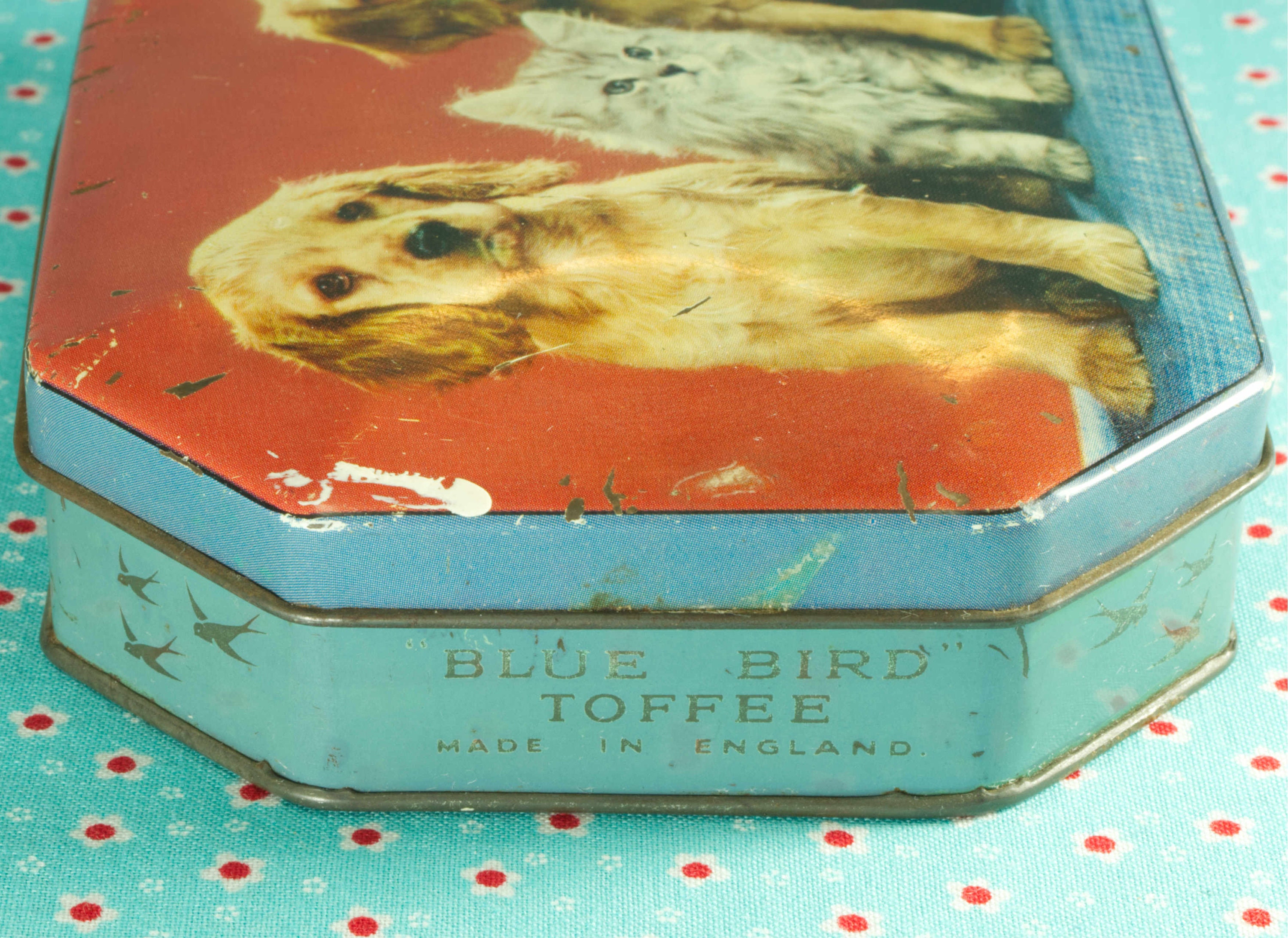 1950's Harry Vincent Blue Bird Toffee Tin England, Puppies and Kitten ...