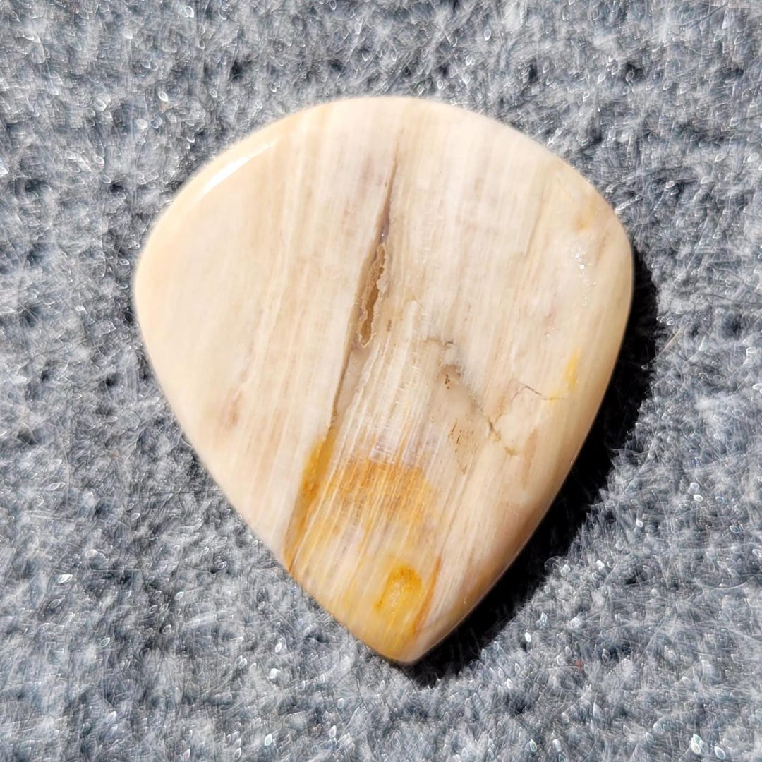 Petrified Wood Fossil Stone Guitar Pick, Jazz XL, 3.1 Mm - P1749 - Etsy