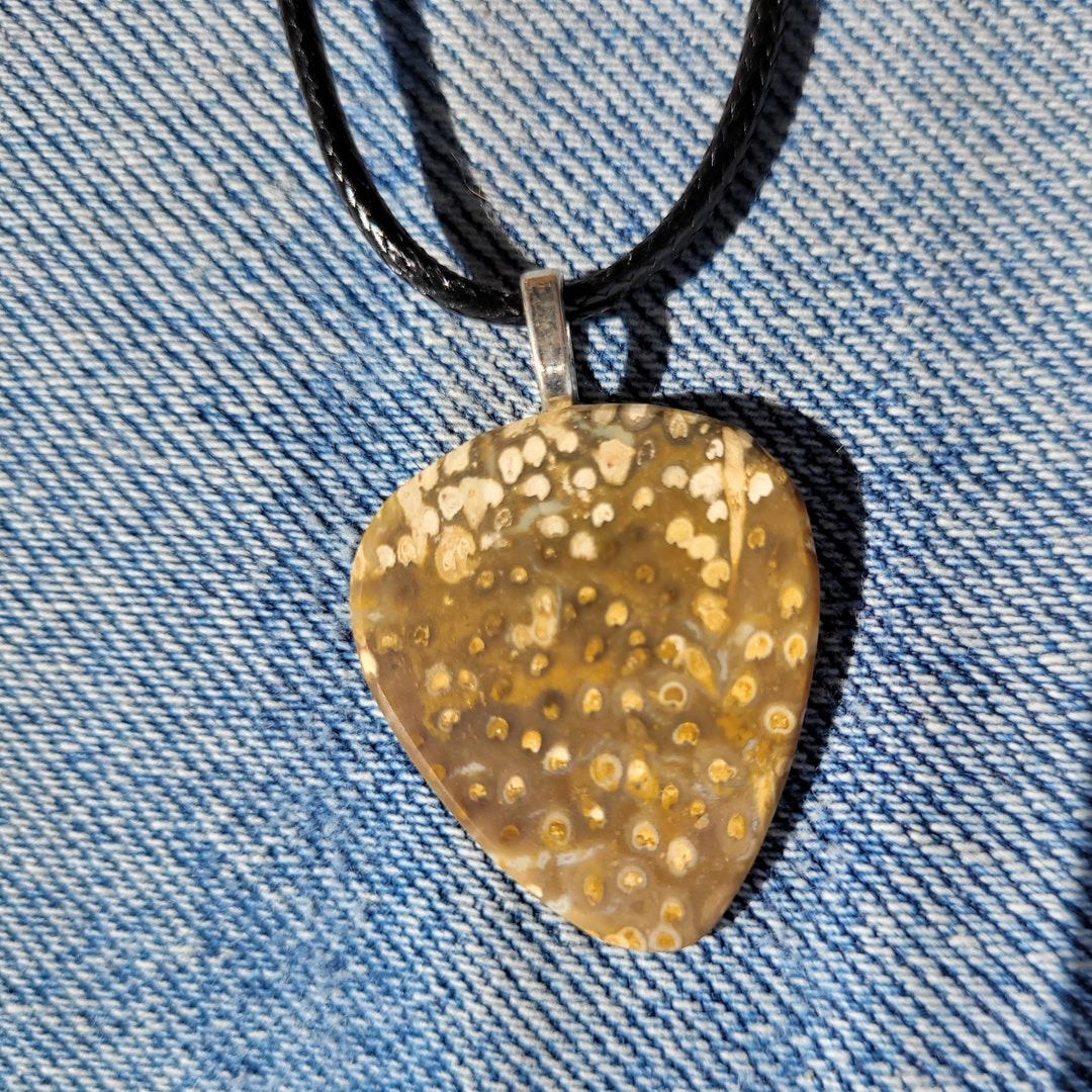 Petrified Palmwood Guitar Pick Necklace - P1614 - Etsy