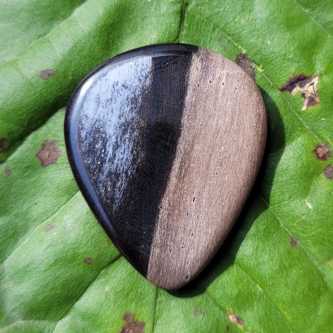 Thick Petrified Wood Fossil Stone Guitar Pick, Standard, 3.8 Mm - P1744 ...