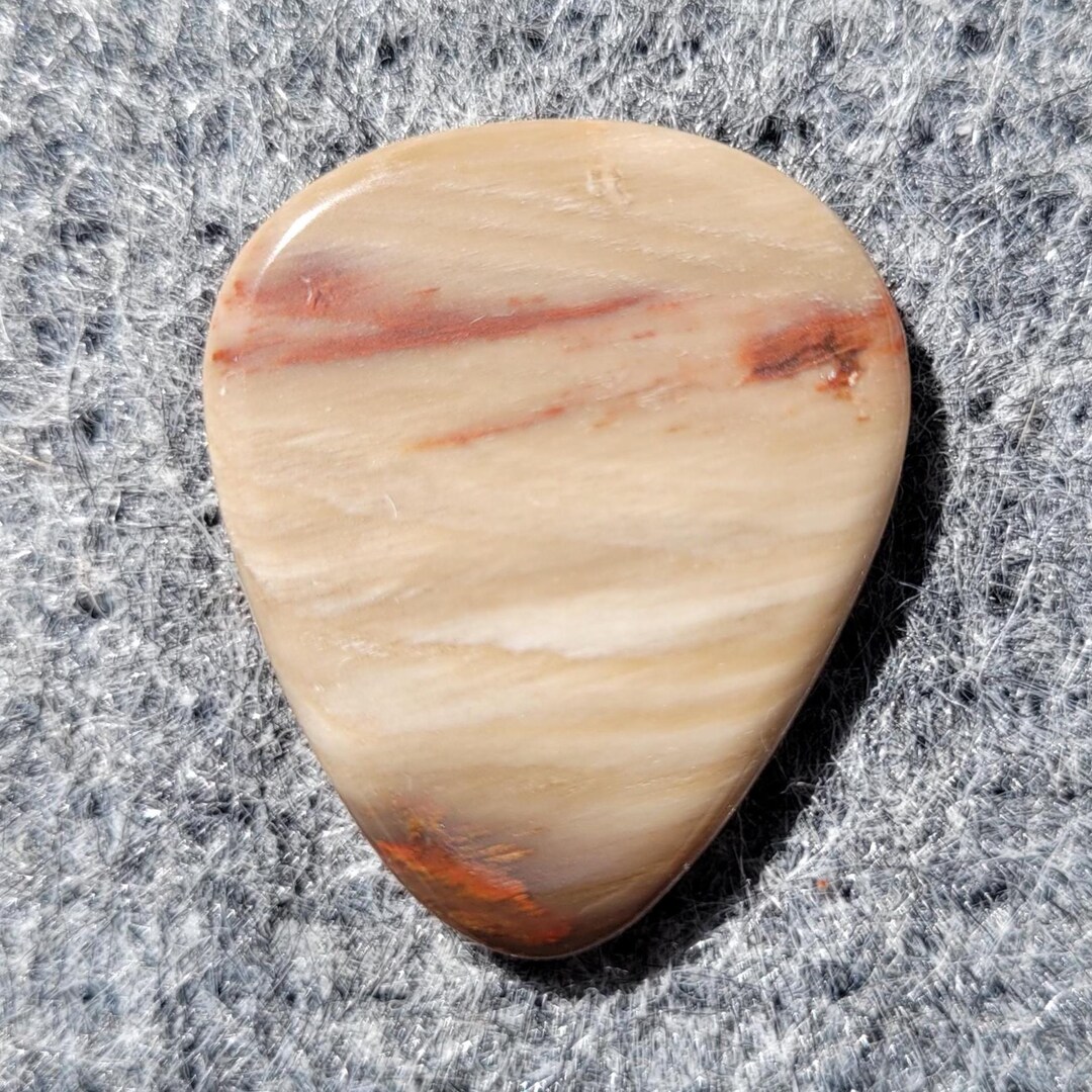 Petrified Wood Fossil Stone Guitar Pick, Standard, 3.1 Mm - P1747 - Etsy