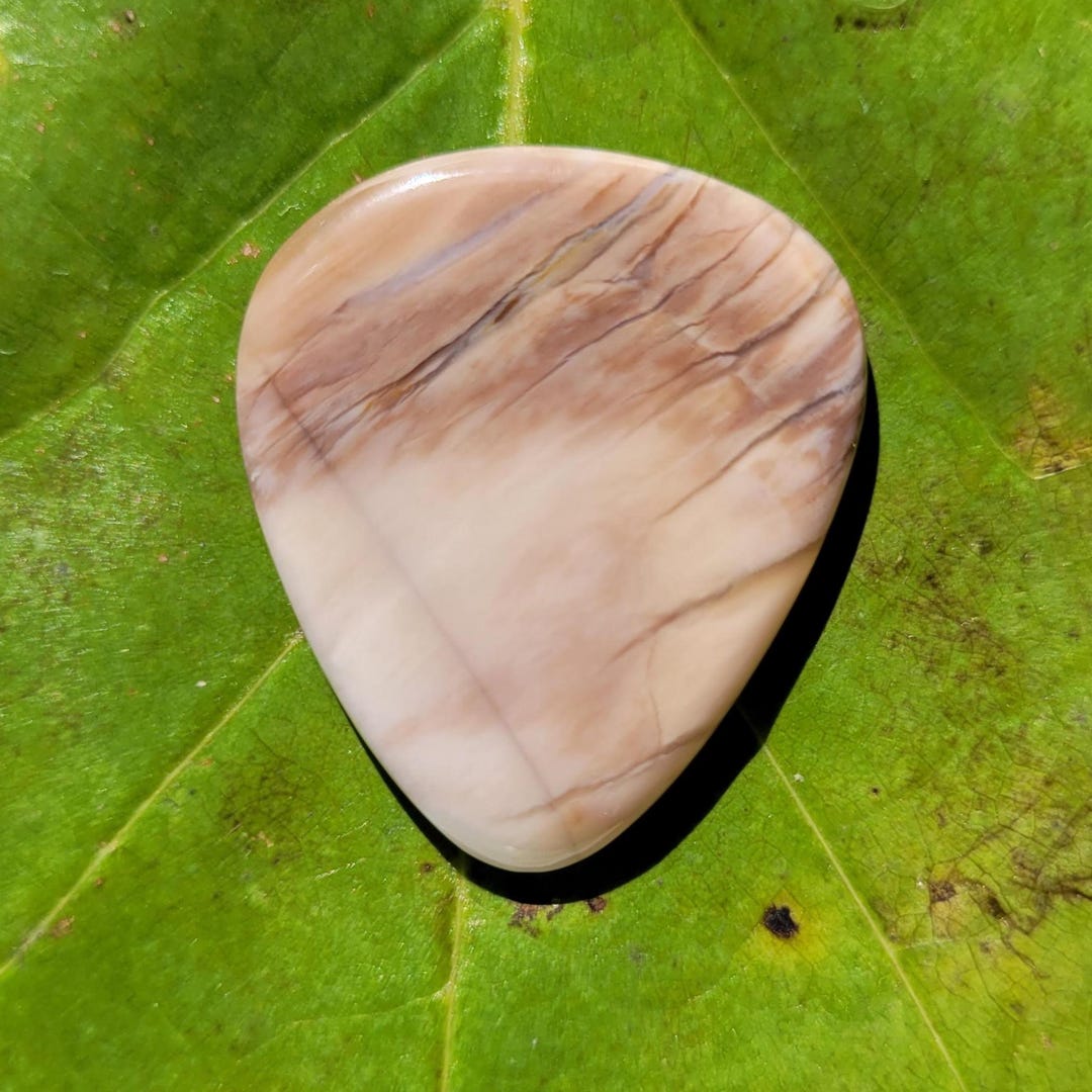 Thick Petrified Wood Fossil Stone Guitar Pick, Standard, 3.7 Mm - P1819 ...