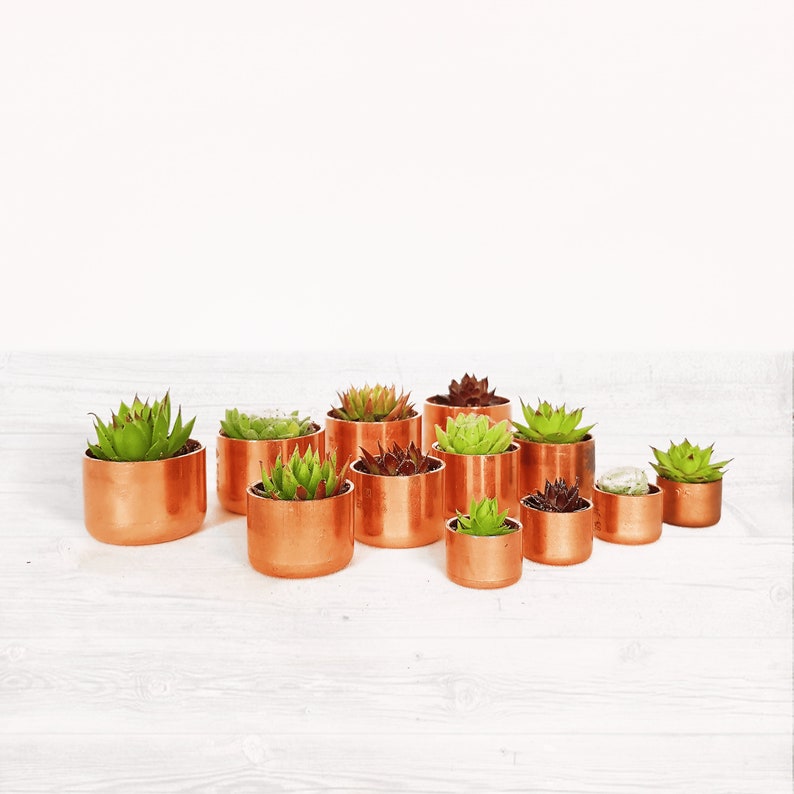 Succulent Copper Pot Gifts - Sustainable Industrial Small Eco-friendly ...