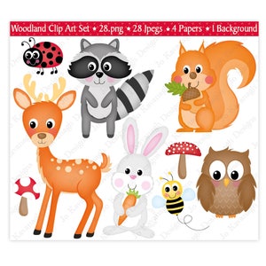Woodland Animals Clipart,woodland Digital Papers,woodland Animals ...