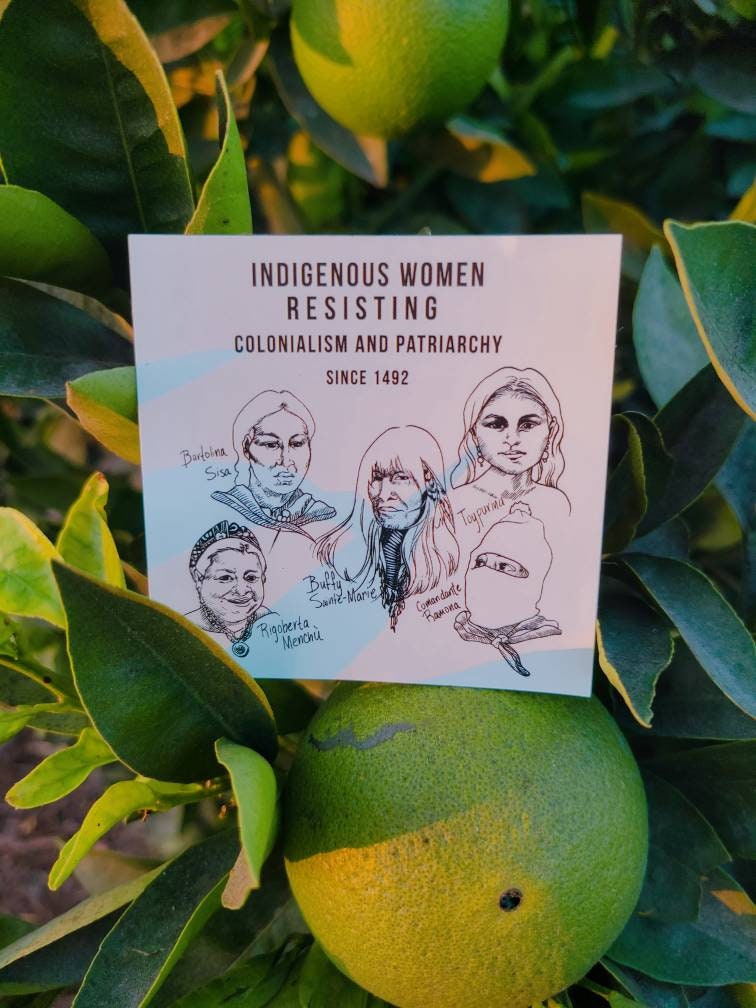 Indigenous Women Resisting Colonialism and Patriarchy Sticker Pack 3 ...