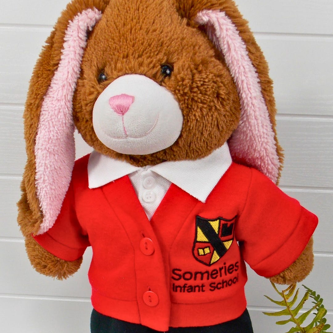 Teddy Bear School Cardigan & Tutorial - PDF Pattern. Fits 15-18inch ...