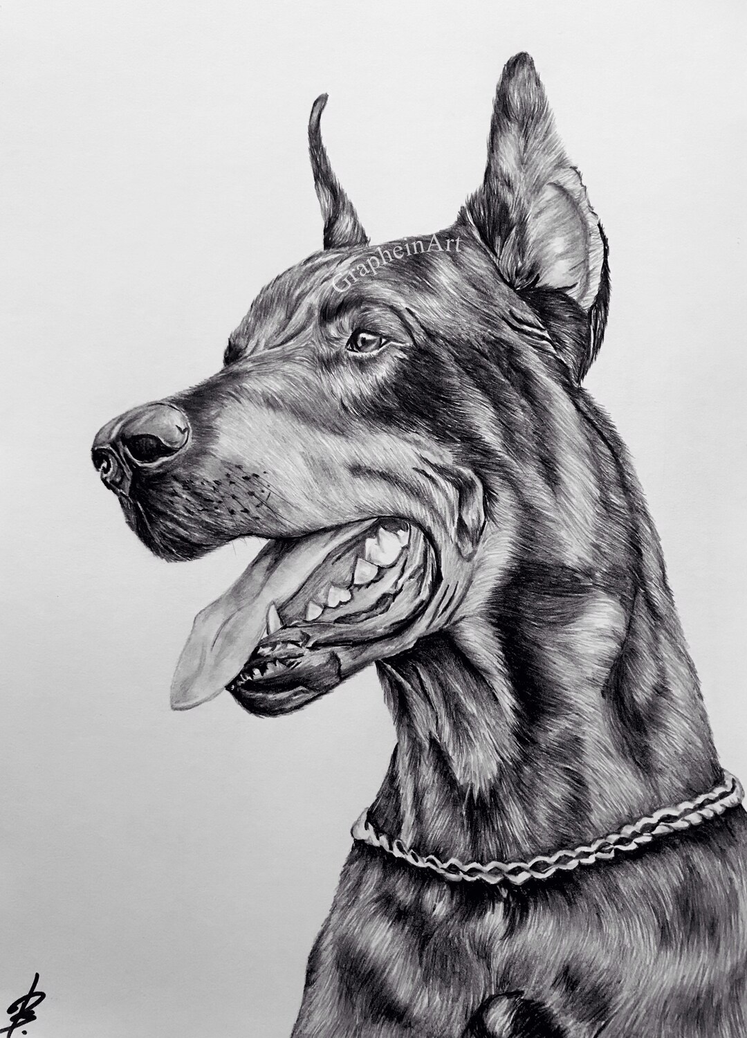 Medium A4, 8x11 Pet Drawing, Hand Drawn Sketch, Special Gift, Original ...