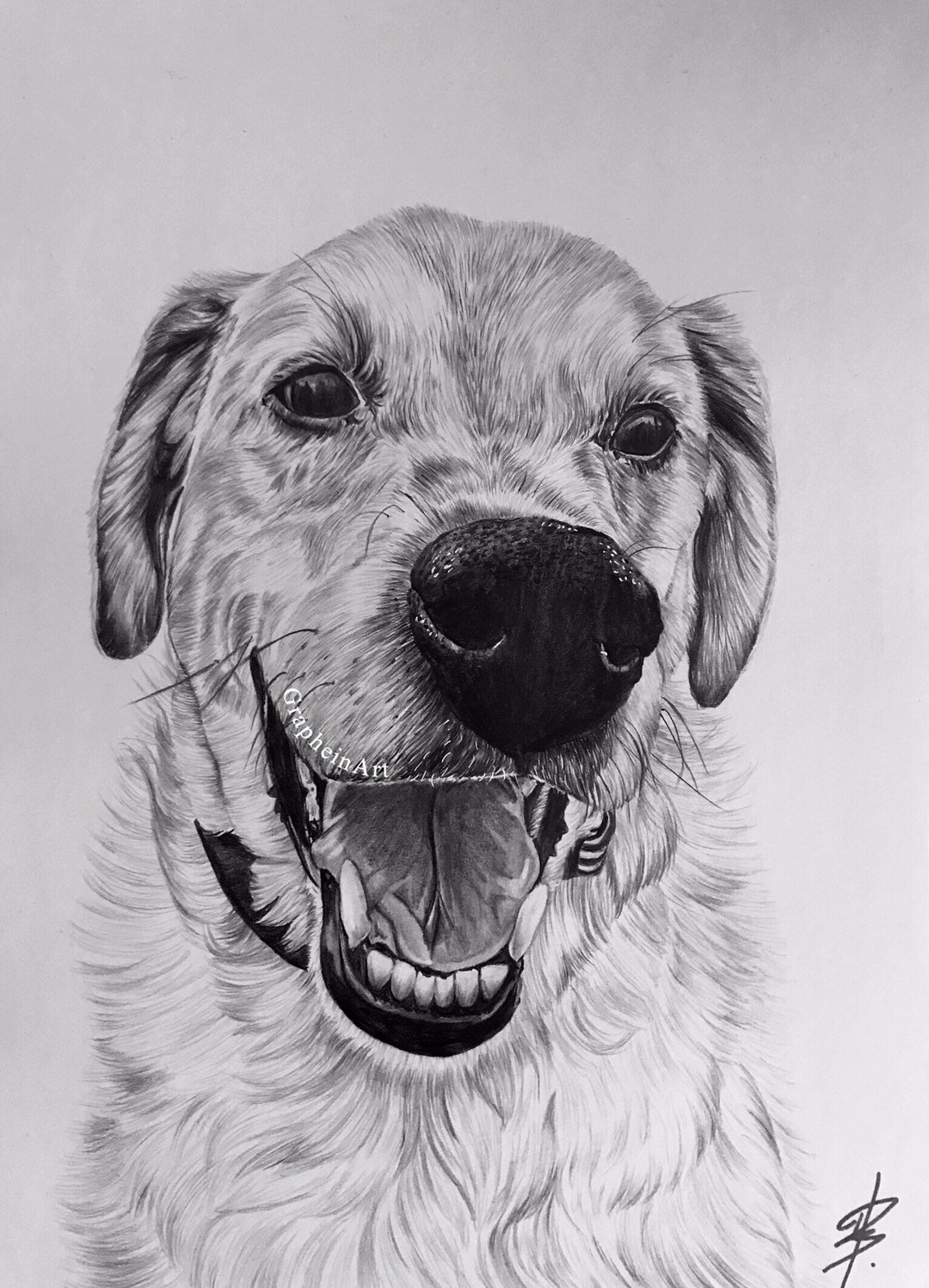 Custom Drawing Hand Drawn Pet Portrait, Memorial Gift, Special Occasion - Etsy