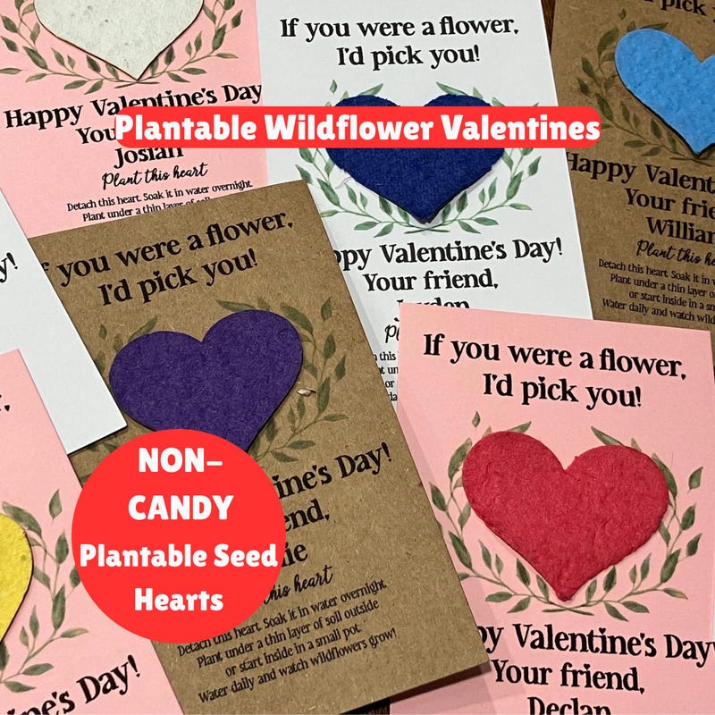 Valentine Cards Plantable - Etsy