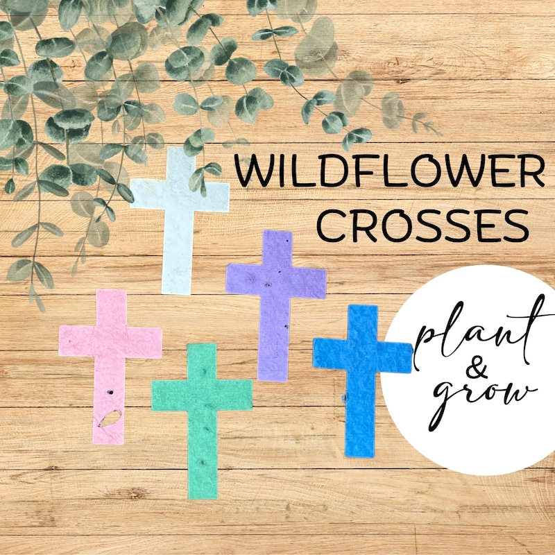 Cross Paper Flower Seed - Etsy