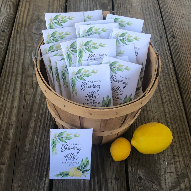 Lemonade Party Favor - Etsy