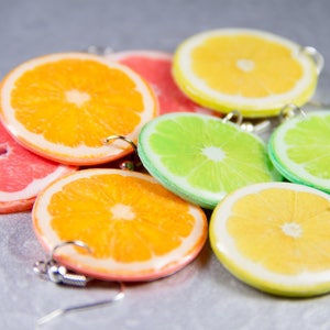 Orange Slice Earrings Fruit Polymer Clay Epoxy Resin Bright - Etsy Israel