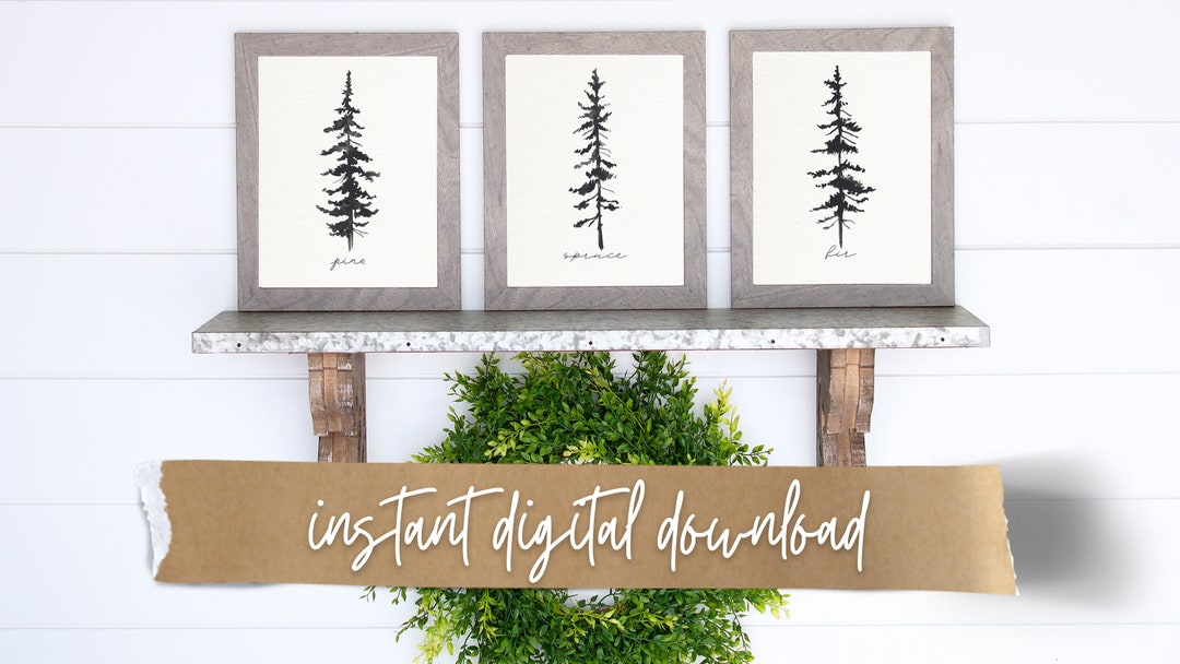 Christmas Tree Farm Art Prints: Fir, Spruce, Pine (digital Images) - Etsy