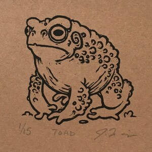 Toad - Etsy