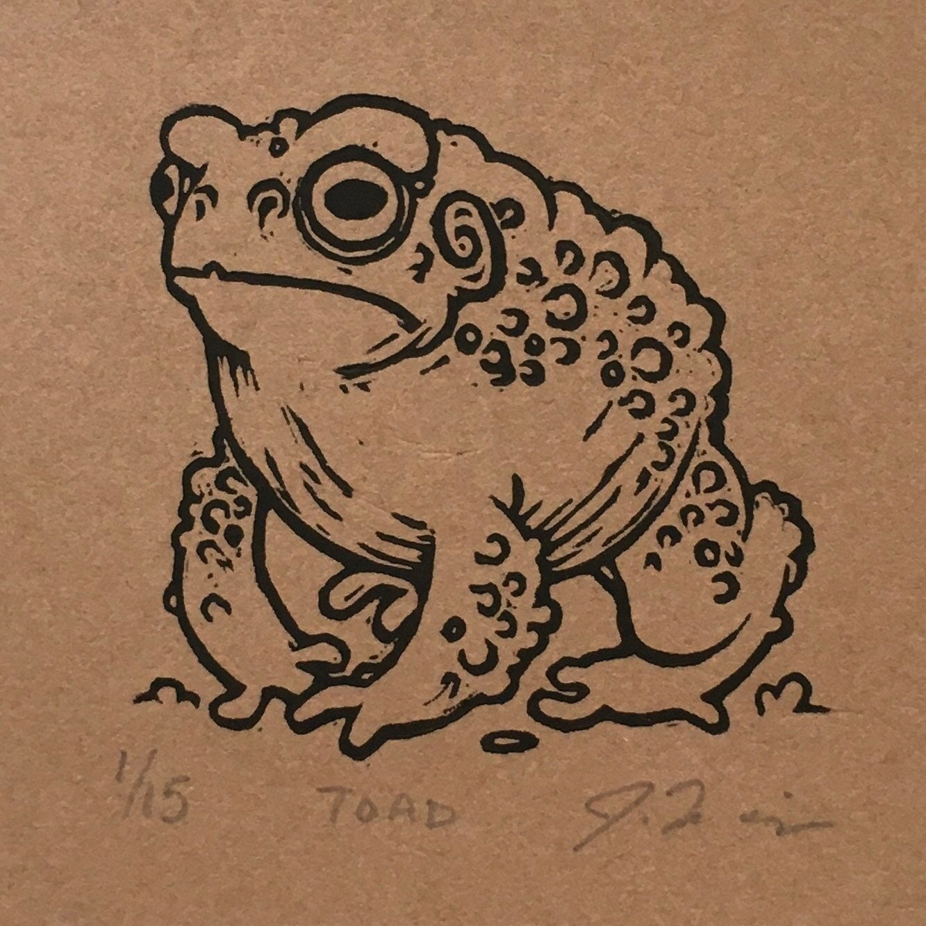 Toad - Etsy