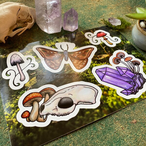 NatureBoneStudio - Etsy