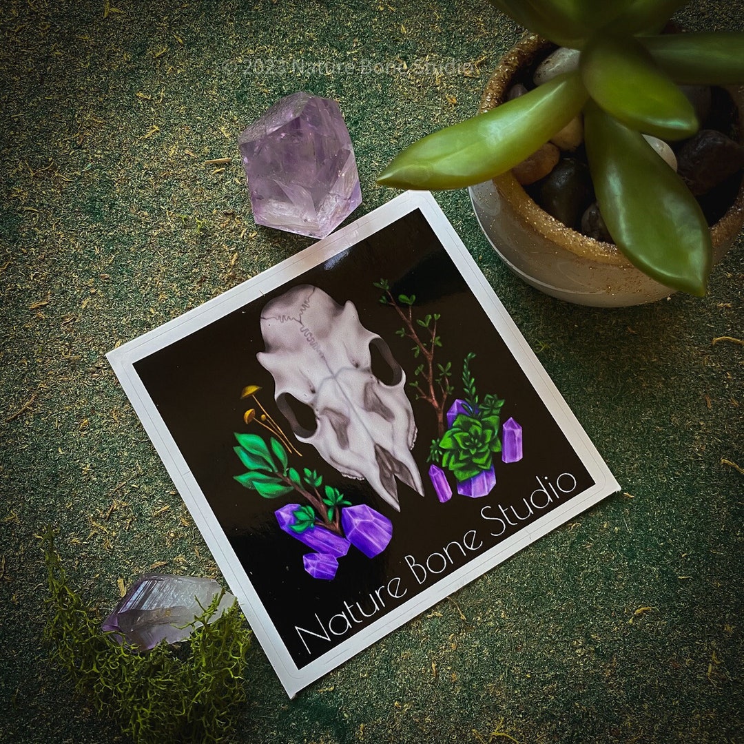 Nature Bone Studio Sticker - Etsy