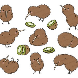 Premium Vector Clipart - Kawaii Kiwi - Cute Kiwi Bird Clipart Set ...