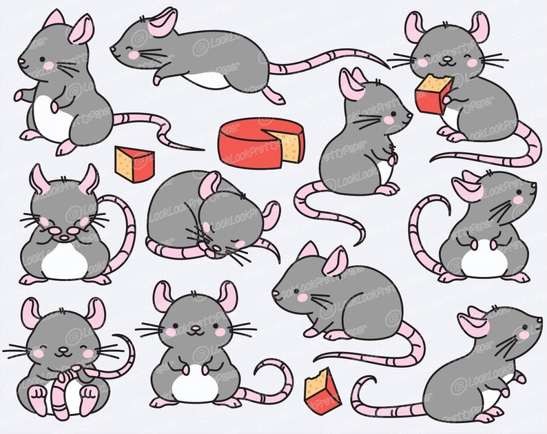 Premium Vector Clipart Kawaii Rats Cute Rat Clipart Set | Etsy