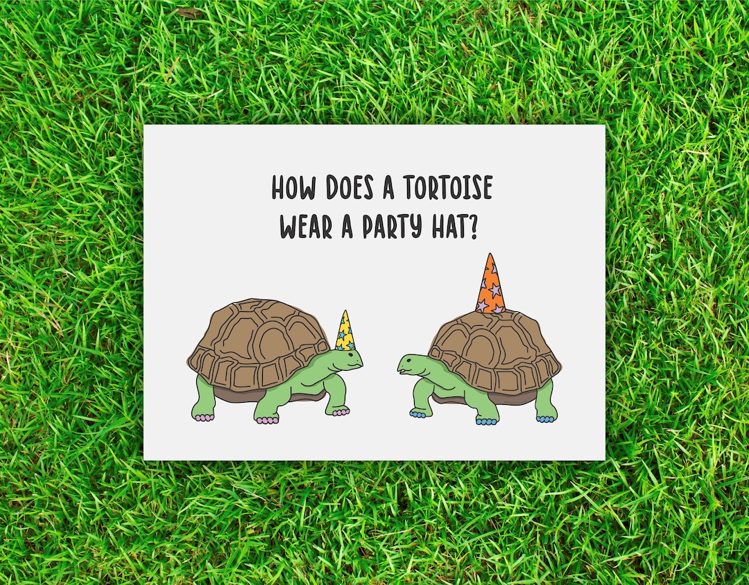 Party Hat Pun Tortoise Birthday Card - Etsy