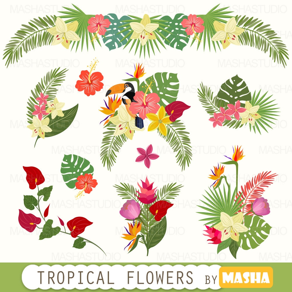 Tropical Floral Clipart