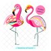 Flamingo Clipart, Abstract Flamingo, Flamingo Illustration, Hand Drawn ...