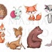 Forest Friends Clipart Forest Animals Clipart Autumn Clipart Fall ...