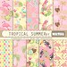 Tropical Digital Papers: tropical Summer With Flamingo Patterns, Exotic ...